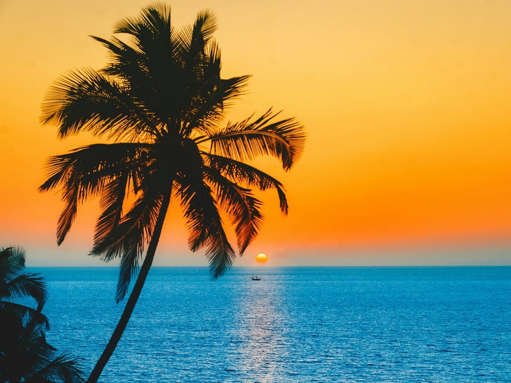 Goa in November – greencoc